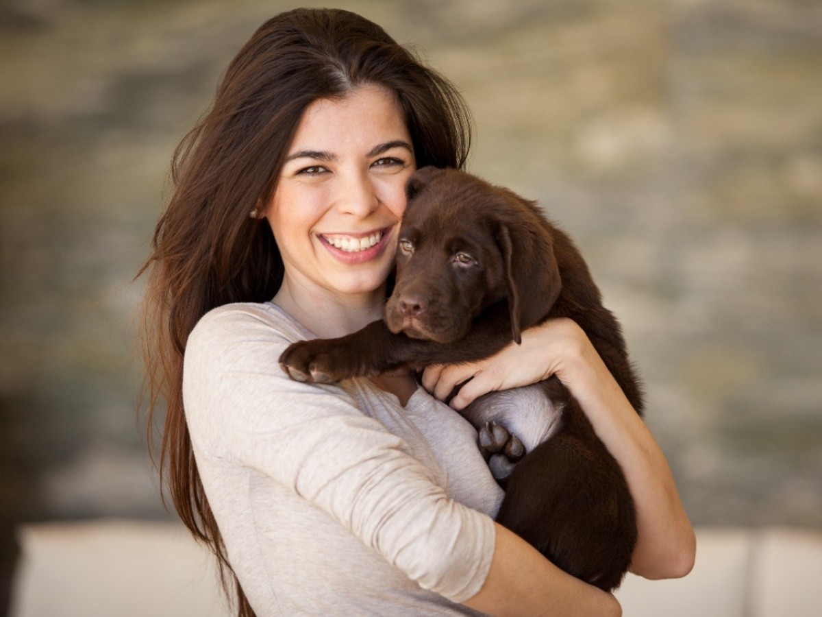 SafePet - Cuidado Canino